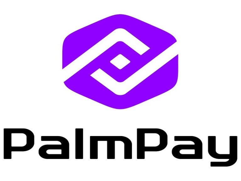 PalmPay Provides 5 Financial Safety Tips To Master Before The Holiday ...